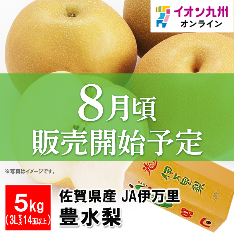 豊水梨 佐賀県産 5kg 3Lサイズ 14玉以上 | 【公式】イオン九州オンラインストア・通販