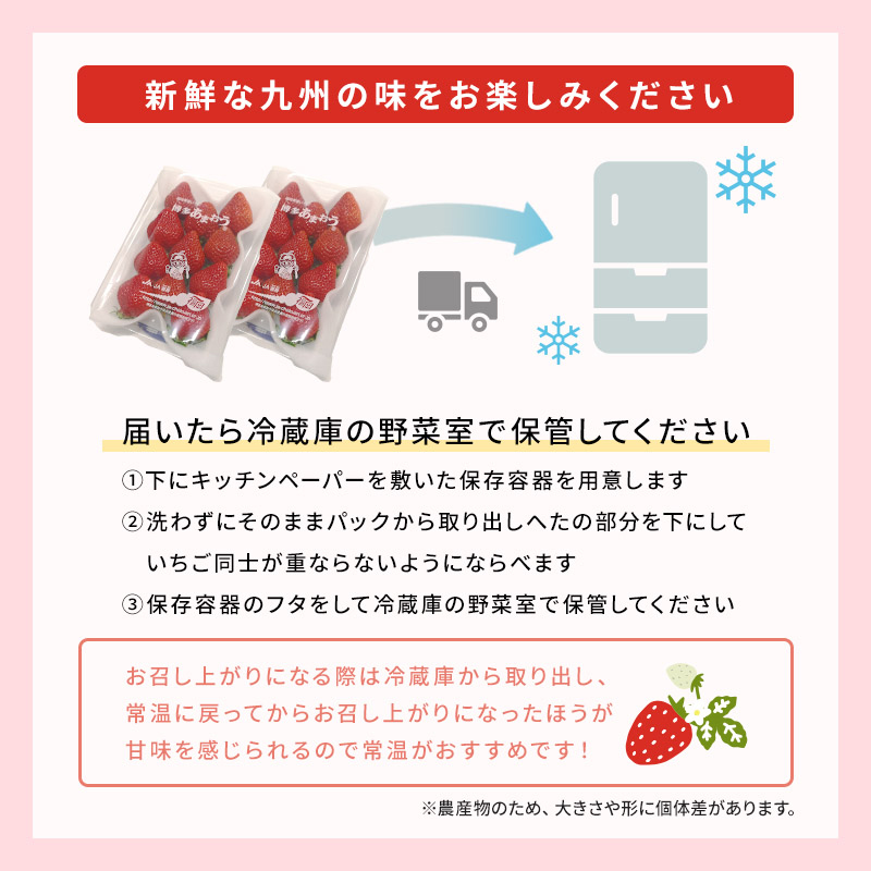 福岡県産 あまおう イチゴ 500g（250gx2パック） | 【公式】イオン九州オンラインストア・通販